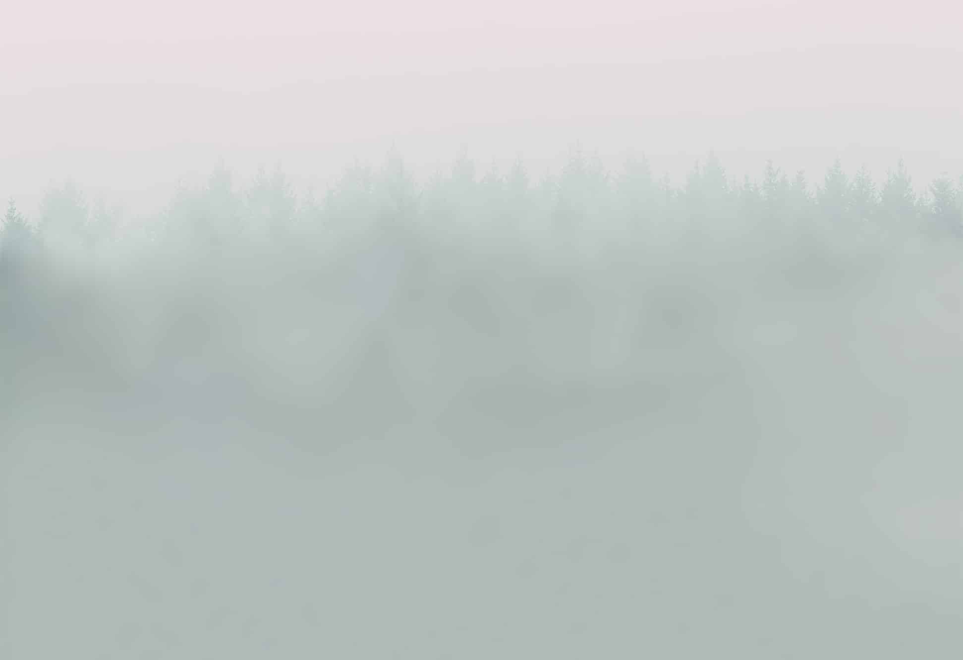 Accueil - Escale Boréale | Destination Nature Privilège à Stoneham