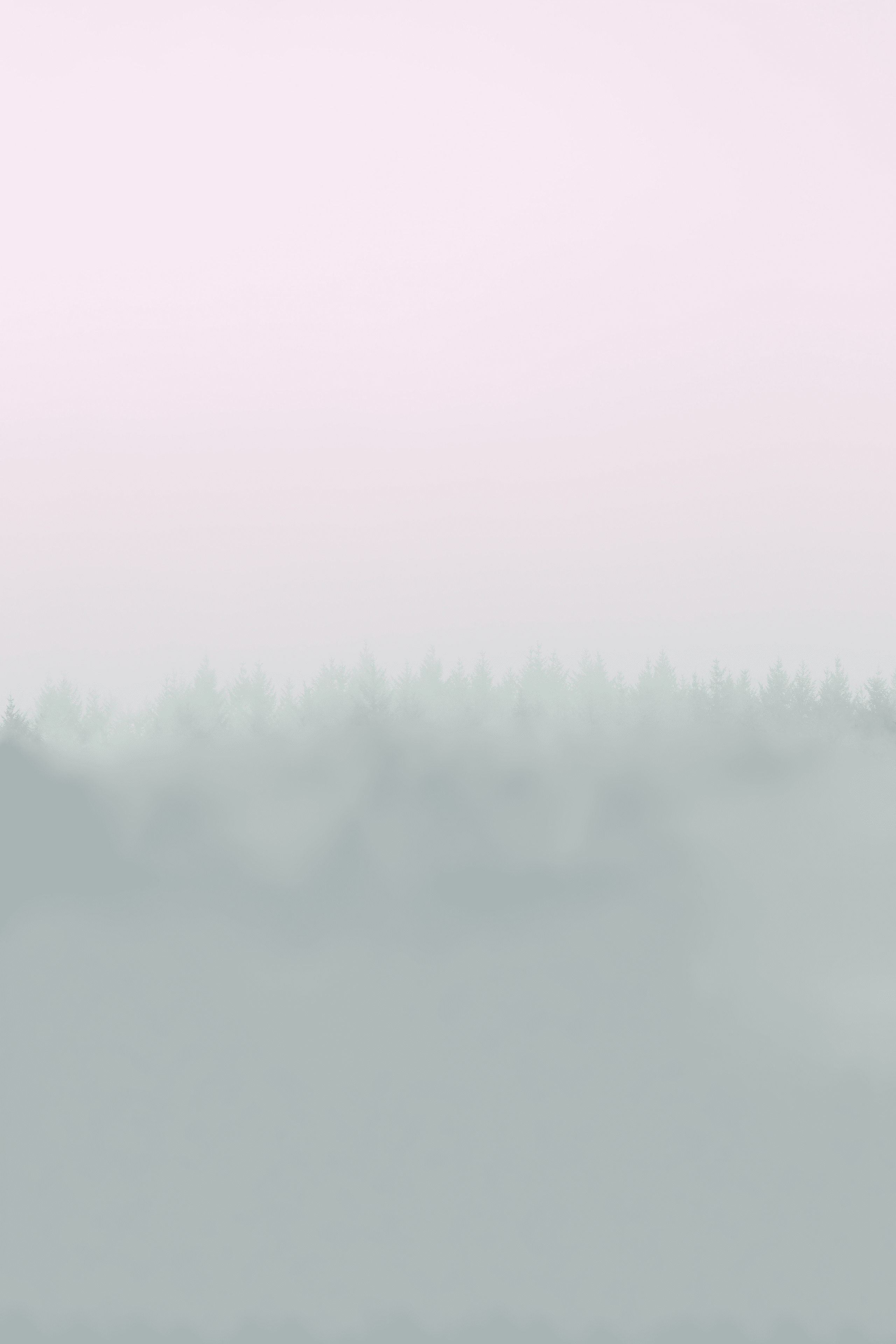 Accueil - Escale Boréale | Destination Nature Privilège à Stoneham