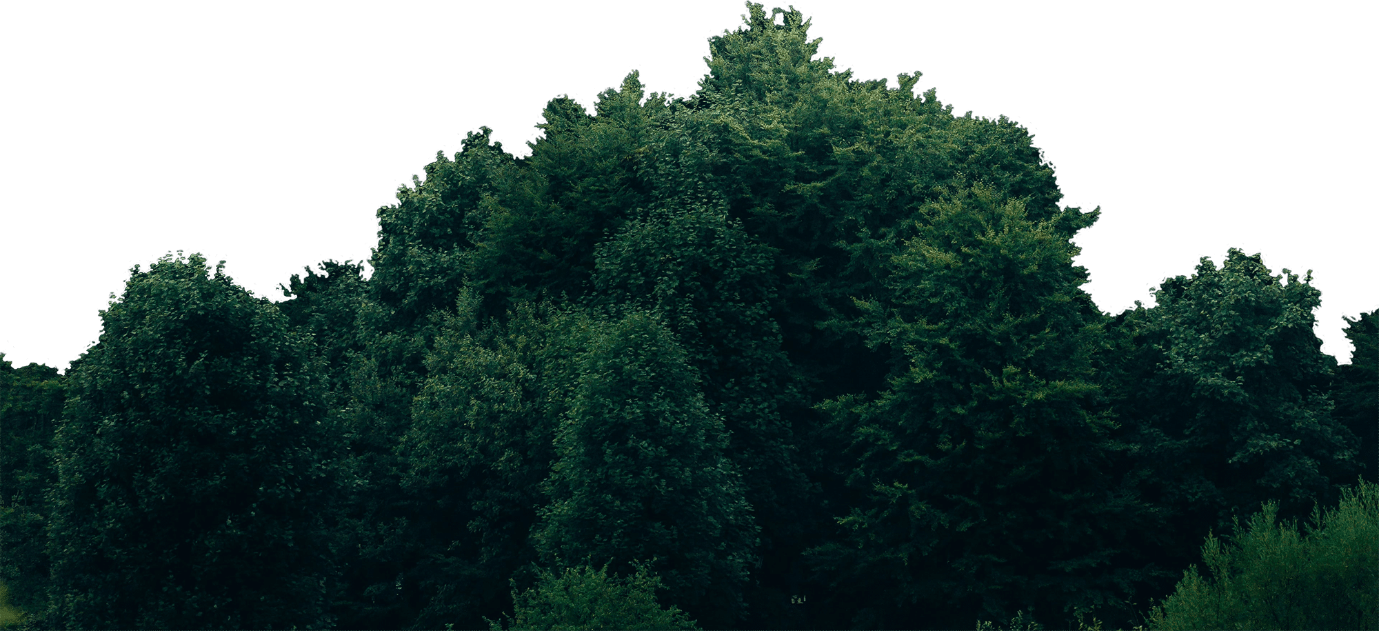 Accueil - Escale Boréale | Destination Nature Privilège à Stoneham